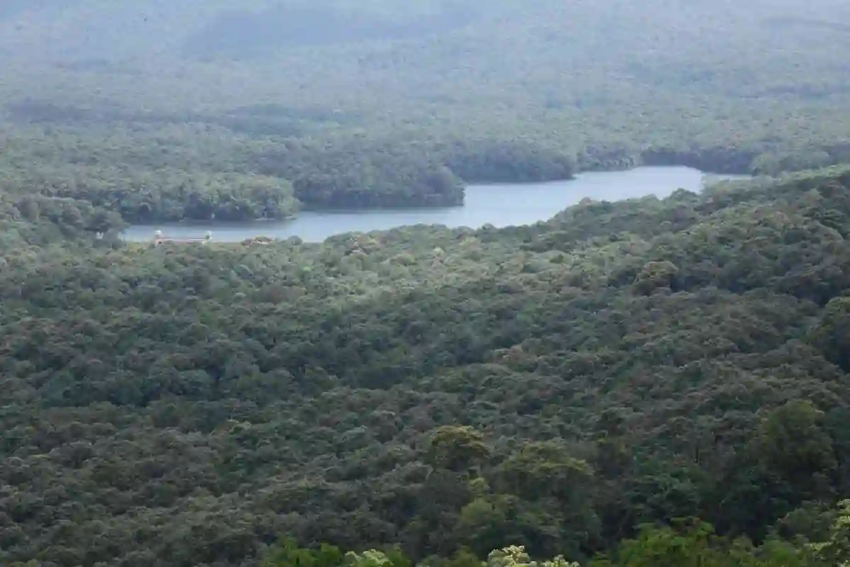 Parambikulam Tiger Reserve | Official Website of Parambikulam Tiger ...