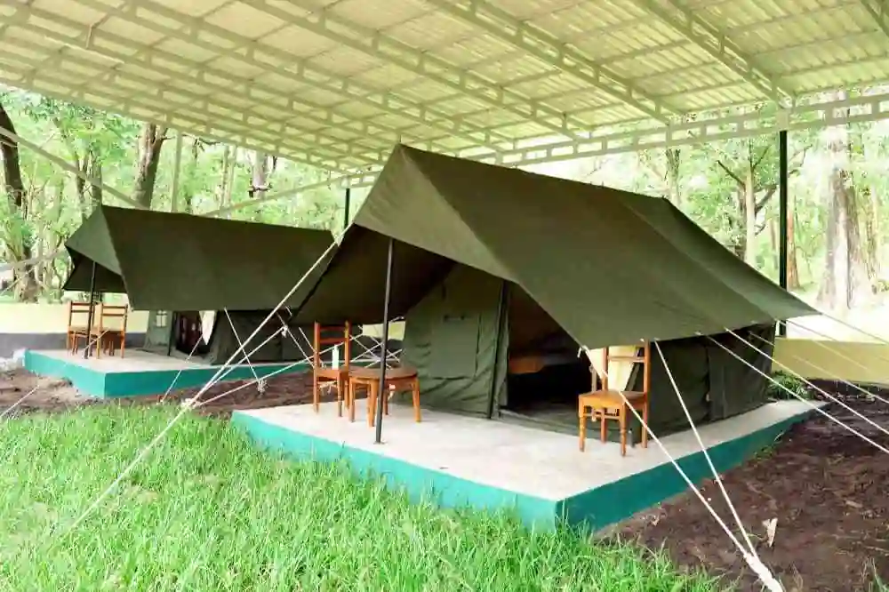 Parambikulam Tiger Reserve | Official Website of Parambikulam Tiger ...