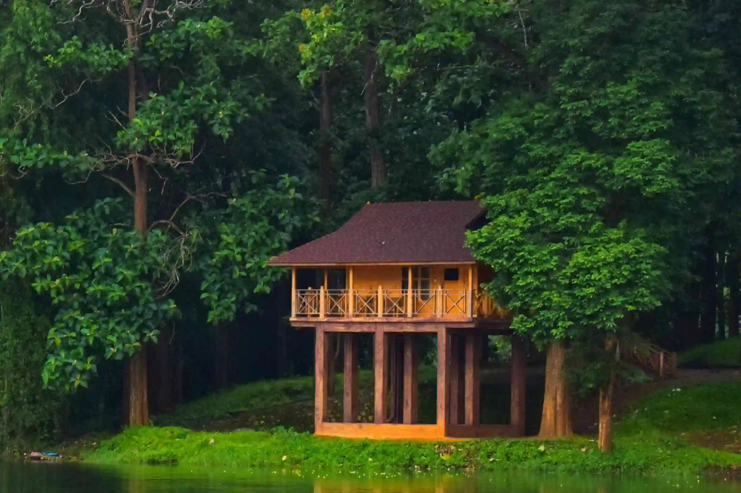 Parambikulam Tiger Reserve | Official Website of Parambikulam Tiger ...