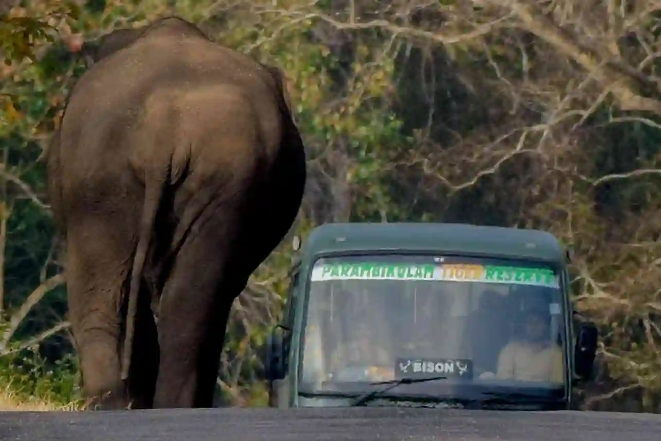 Parambikulam Tiger Reserve | Official Website of Parambikulam Tiger ...