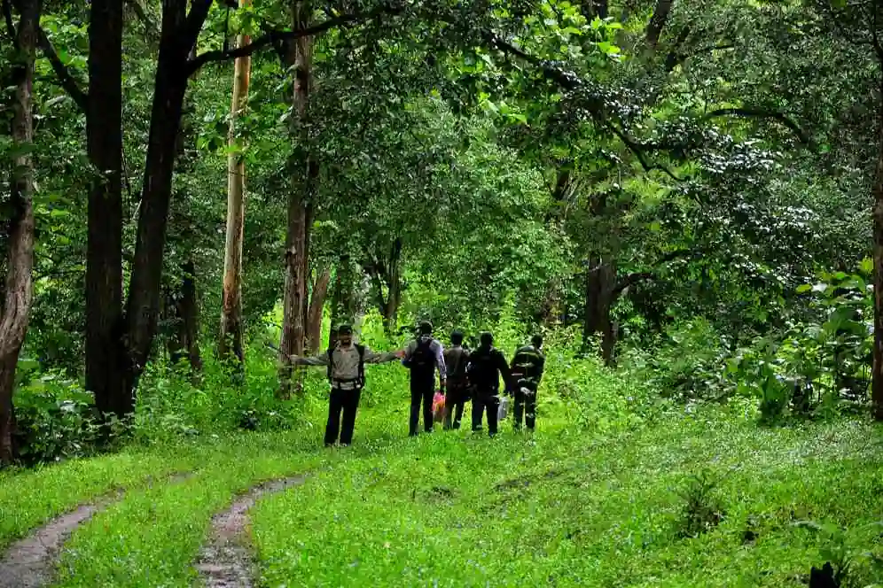 Parambikulam Tiger Reserve | Official Website of Parambikulam Tiger ...